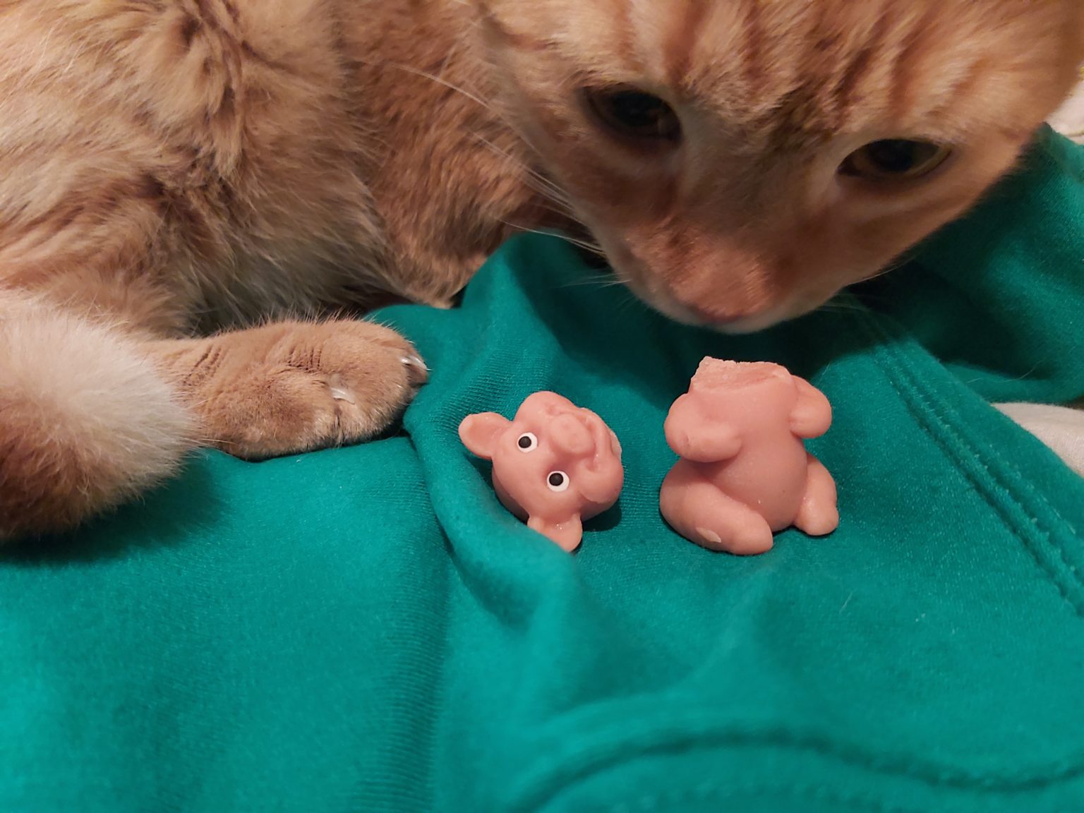 100. Geburtstag von Patrice Lumumba: Sein Kampf für Unabhängigkeit und ...